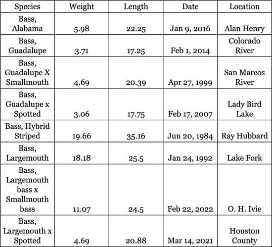 Best Bass Fishing Locations In Texas