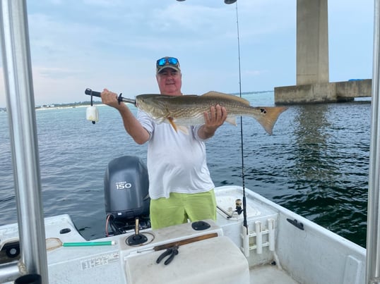 Fishing Rules And Regulations: Orange Beach, Al