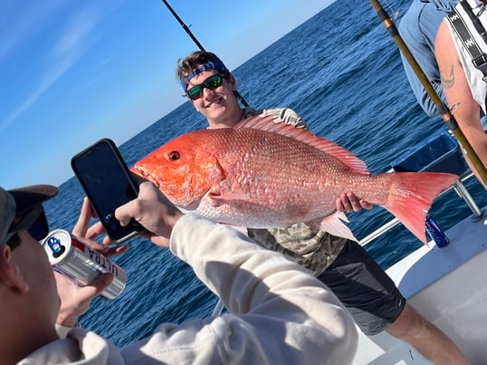 Orange Beach, Al: Updated Fishing Guide (2024)