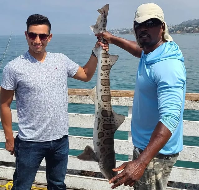 Tc's Fishing Adventures with Captain Experiences